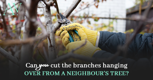 Can You Cut Overhanging Branches from Your Neighbour’s Tree?