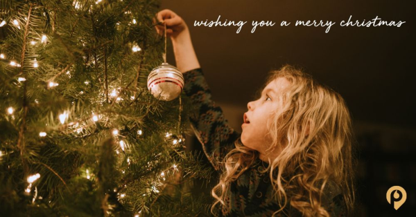 Merry Christmas from the Perry Bishop Team