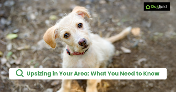 What Type of Upsizer Are You? Find Out Here