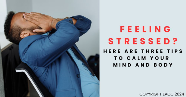 Feeling Stressed? How to Calm Your Mind and Body