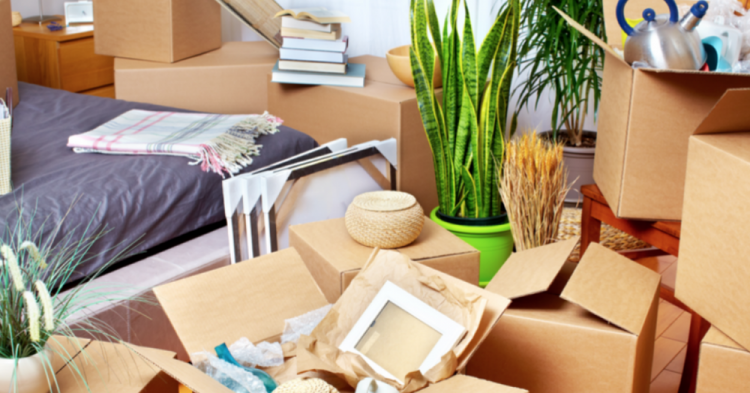 First timer's guide to moving out on your own