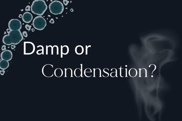 Is it Damp or Condensation?