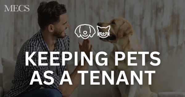 Renting with Pets: Landlord Policies and Tips for Pet-Friendly ...