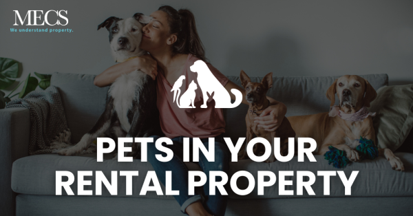 The Pros and Cons of Allowing Pets in Rental Properties