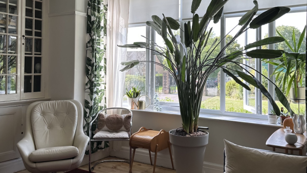 Understanding Our Three Levels Of Lettings Services: Tailored Support ...