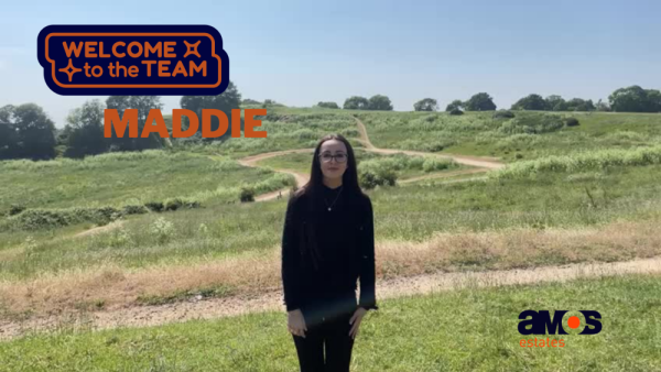 Welcome Maddie